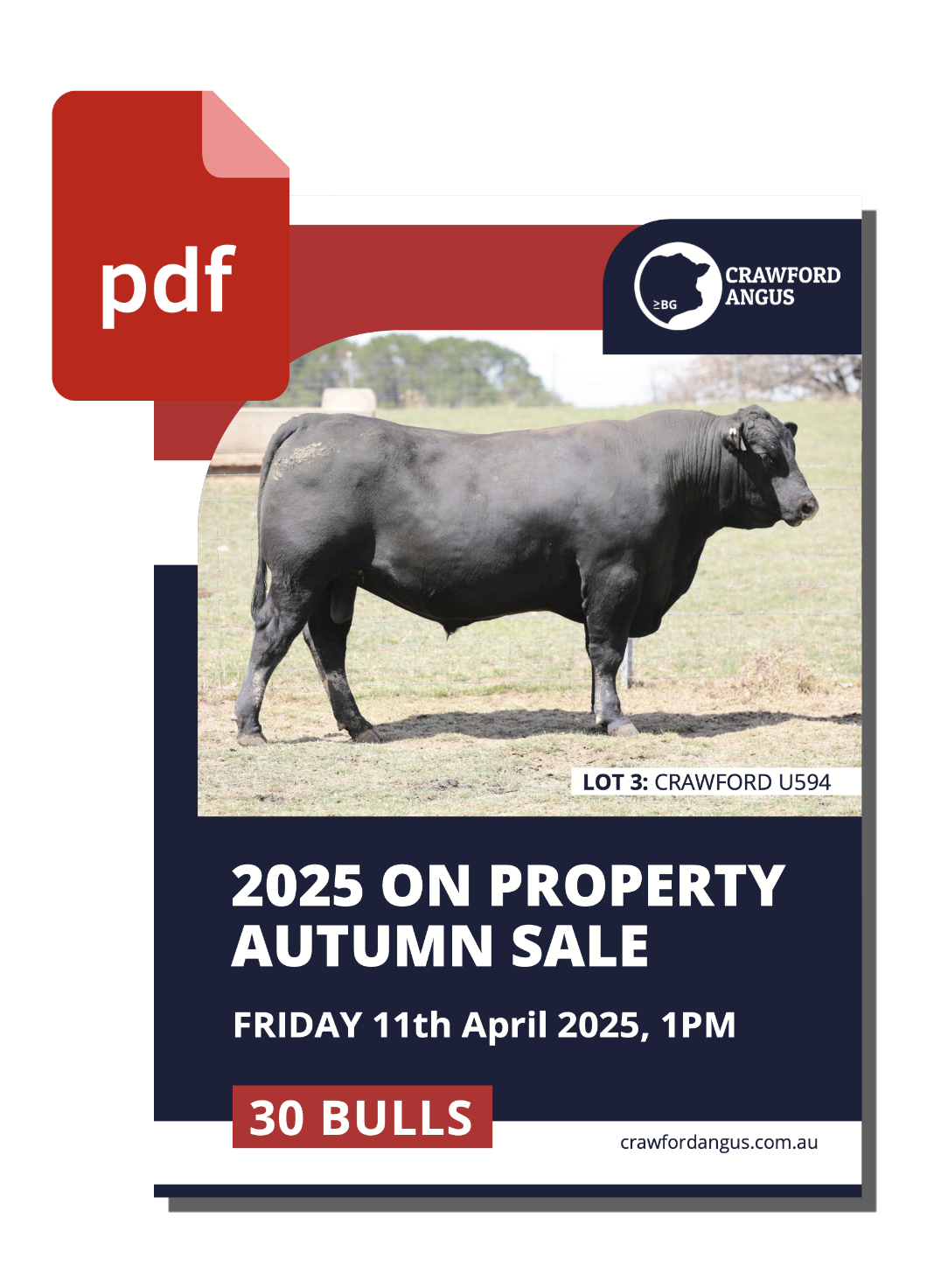 Sale day – Crawford Angus